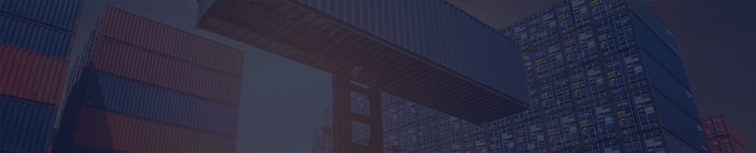 Import-Export: Activité Négoce Professionnel et GSB